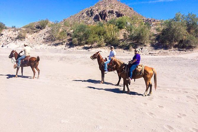 Horseback ride and witness magical sunset of Loreto, BCS - An In-Depth Look at the Loreto Horseback Tour