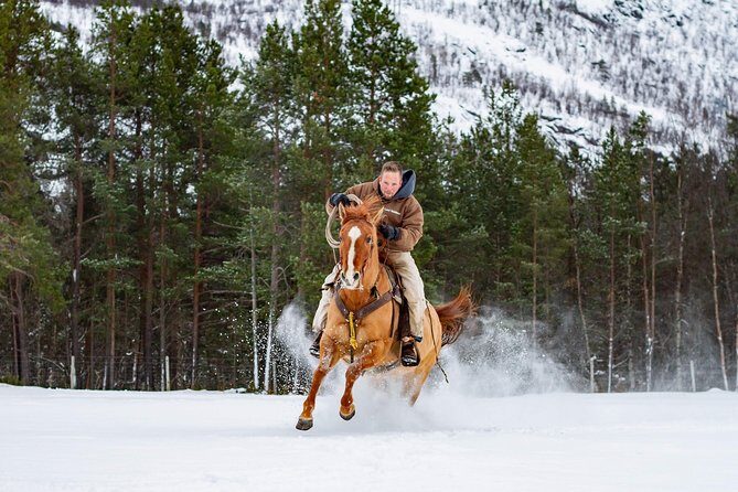 Horseback riding - Key Points