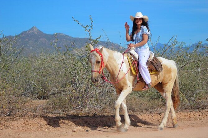 Horseback Riding Adventure in Playa Migriño with Tequila Tasting - An In-Depth Look at the Horseback Riding Tour in Playa Migriño