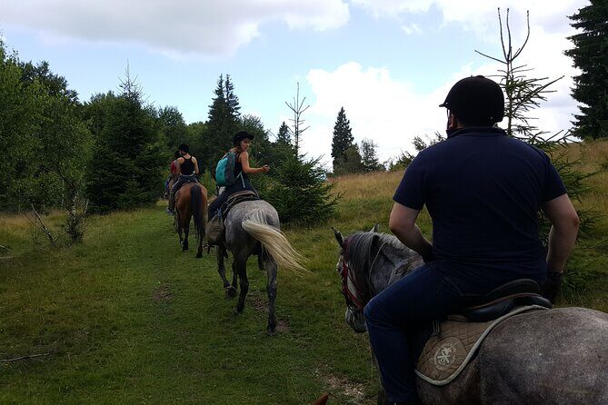 Horseback riding adventure tour through Brasov landscape - Why This Tour Offers Great Value