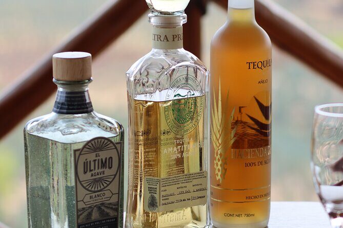 Horseback Riding among Agaves and Food: Experience the Morning in Amatitan - The Sum Up