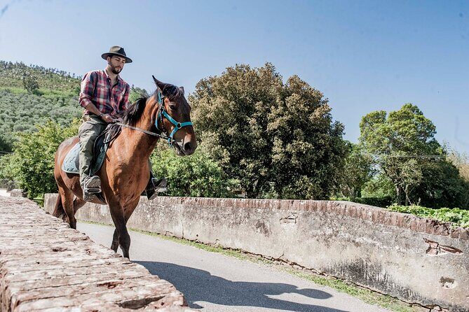 Horseback riding and aperitif 2 hours for beginners - Who Is This Tour Best For?