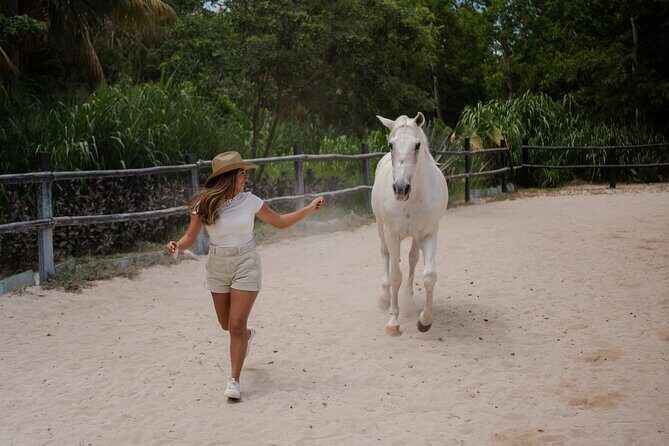 Horseback Riding and Cenote Swim from Cancun or Playa del Carmen - An In-Depth Look at the Tour Experience
