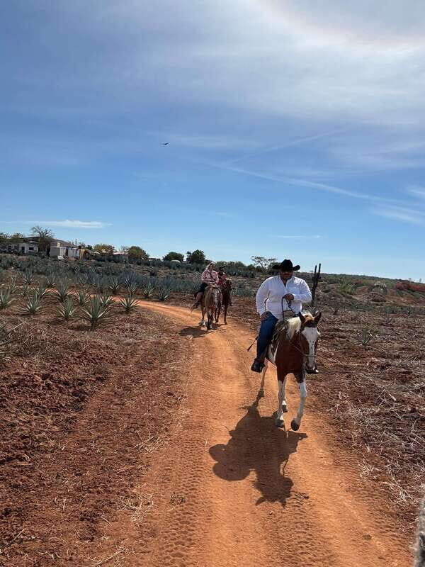 Horseback riding and Temazcal combo with lunch and mezcal - Key Points