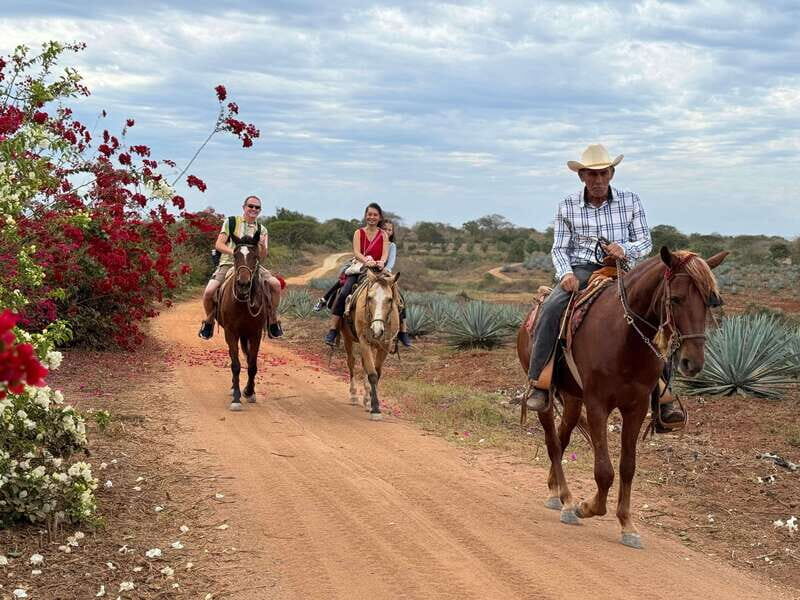 Horseback riding and Temazcal combo with lunch and mezcal - The Sum Up