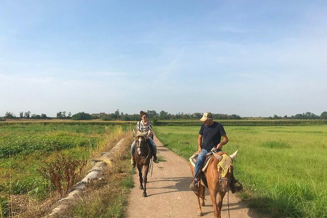 Horseback riding and wine tasting - Practical Details to Consider