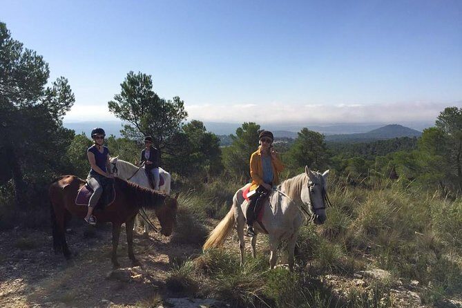 Horseback riding and wine tour (private tour) - An In-Depth Look at This Unique Experience