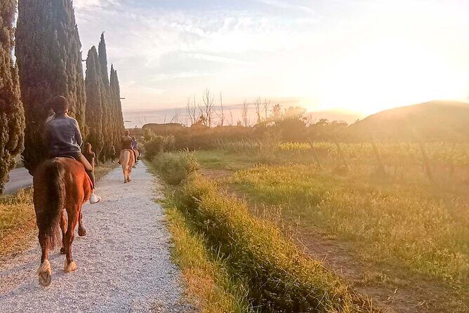 Horseback riding at sunset 1 hour at the Certosa di Pisa - The Itinerary: From Stable to Sunset