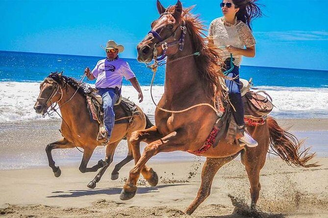 Horseback Riding & ATV Combo! Mountain Trails & Beautiful Beaches of BAJA! - Key Points