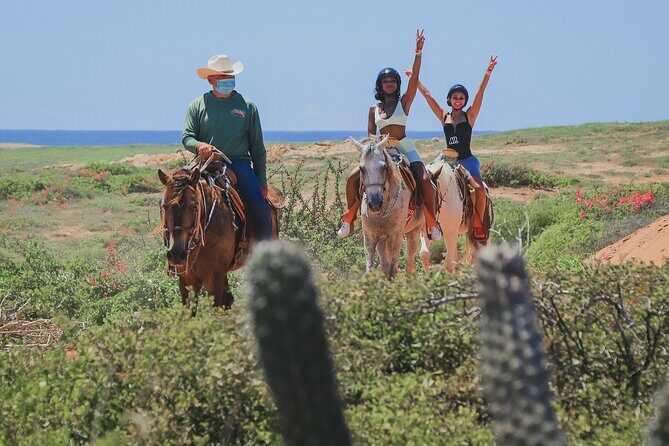 Horseback Riding Beach and Desert in Cabo by Cactus Tours Park - Introduction