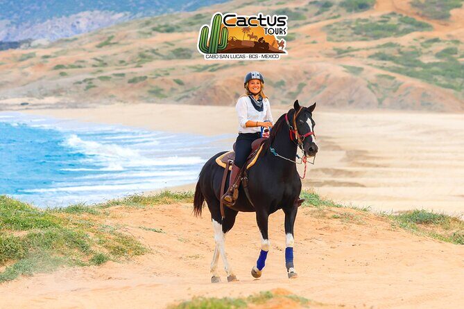Horseback Riding Beach and Desert in Cabo by Cactus Tours Park - Authentic Experiences and Practical Details