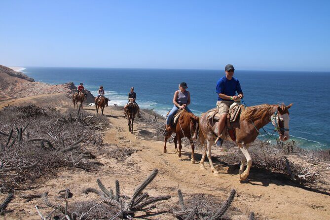Horseback Riding Experience in Rancho San Cristobal - Quick Introduction