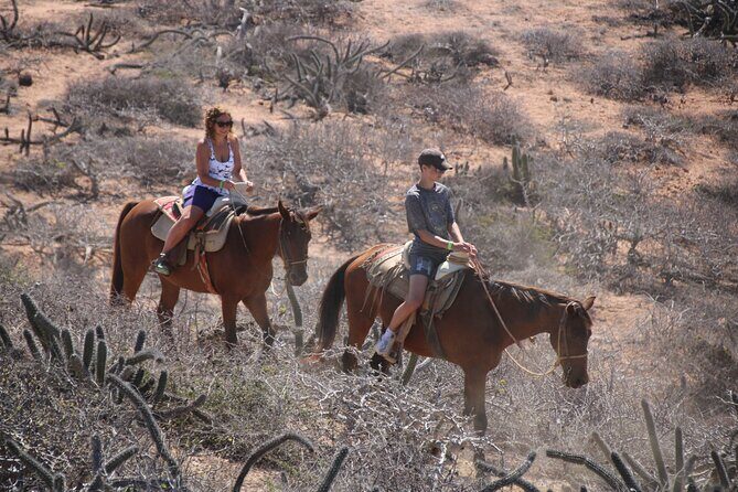 Horseback Riding Experience in Rancho San Cristobal - What’s Included and What’s Not