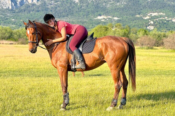 Horseback Riding Experience with transport from Dubrovnik - Key Points