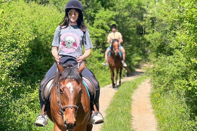 Horseback Riding Experience with transport from Dubrovnik - Practical Details: Transport, Duration, and Booking