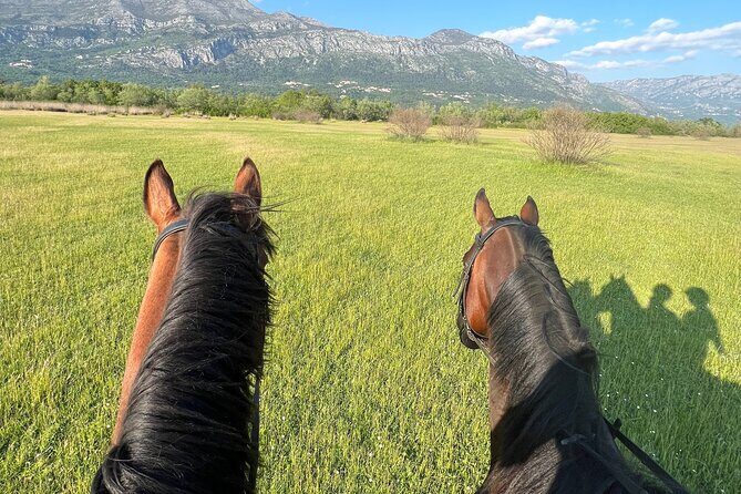 Horseback Riding Experience with transport from Dubrovnik - Who Is This Tour Best For?
