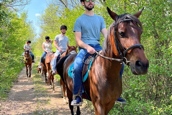 Horseback Riding Experience with transport from Dubrovnik - FAQ: Practical Questions Answered