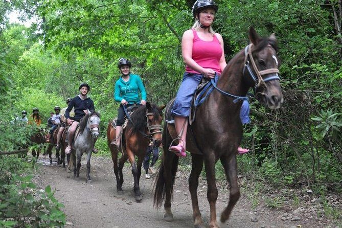 Horseback Riding From Kusadasi Port For Cruise Guests - Who Will Love This Tour?