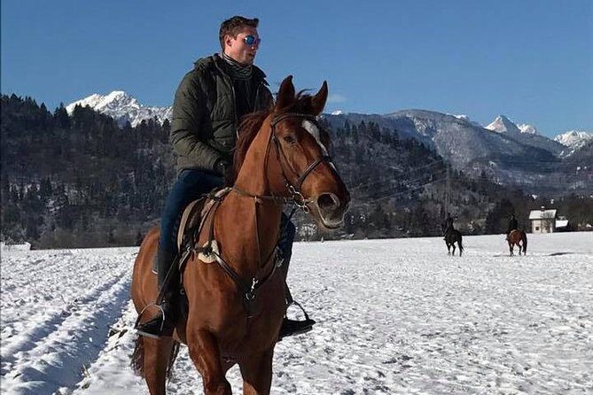 Horseback Riding In Bled - In-Depth Look at the Horseback Riding Experience in Bled