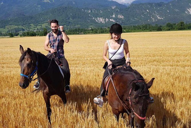 Horseback Riding In Bled - The Sum Up