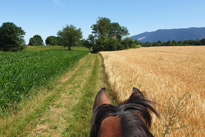 Horseback Riding In Bled - FAQ