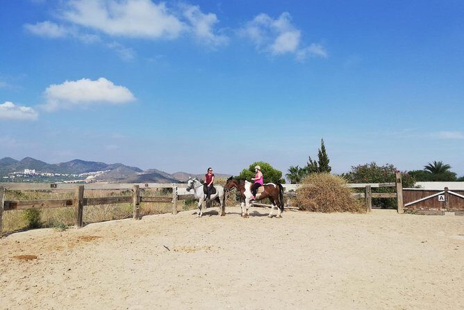 Horseback Riding in Cartagena (Spain) - Authentic Experiences Highlighted by Reviewers