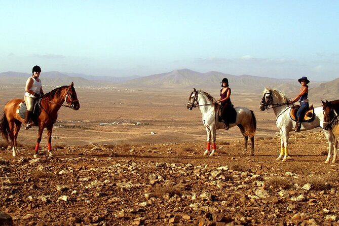 Horseback Riding in Fuerteventura for 1 or 2 hours, Spain - What the Experience Entails