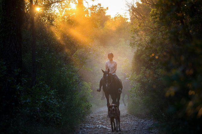 Horseback Riding in Konavle Region with Transport from Dubrovnik - Experience the Serenity of Horseback Riding in Croatia’s Konavle Region