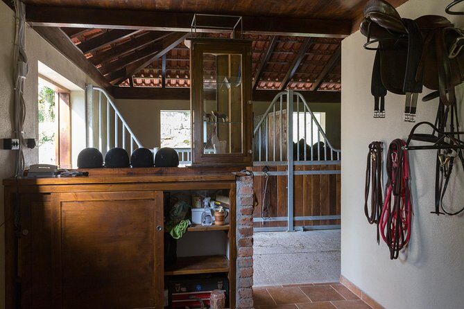 Horseback Riding in Konavle Region with Transport from Dubrovnik - Who Should Book This Tour?