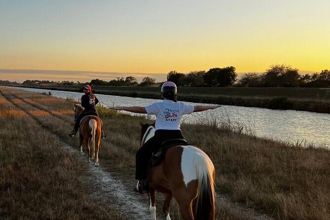 Horseback Riding in Miami - Exploring the Horseback Riding Experience in Miami