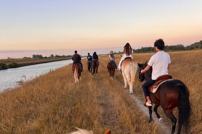 Horseback Riding in Miami - Who Should Consider This Experience?