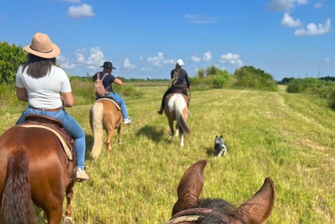 Horseback Riding in Miami - The Sum Up