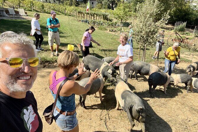 Horseback riding in Montepulciano Tuscany, lunch on the farm - An In-Depth Look at the Tour