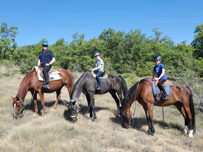 Horseback riding in Provence Luberon - Key Points