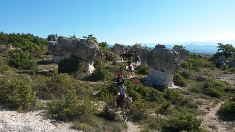 Horseback riding in Provence Luberon - The Horses and Guides: What Sets This Apart