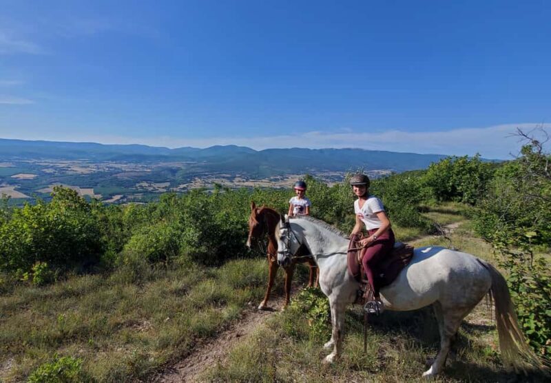 Horseback riding in Provence Luberon - Value and Pricing Analysis
