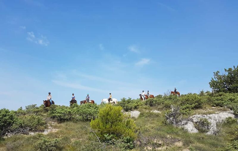 Horseback riding in Provence Luberon - Frequently Asked Questions