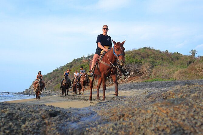 Horseback Riding in Sayulita - Discover the Richness of the Experience