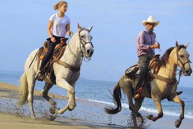 Horseback Riding in Sayulita Through Jungle Trails to the Beach - An Overview of the Experience