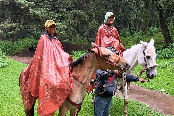 Horseback Riding in the Forest and Breakfast in Cabin - The Real Value of the Tour