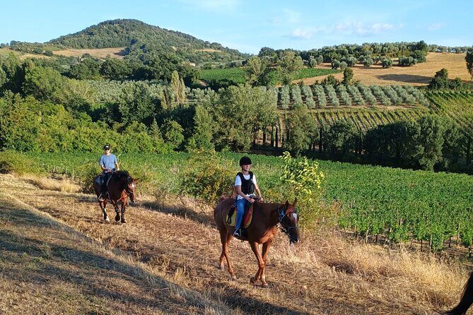 Horseback riding in the hills of Montepulciano in Tuscany - Key Points