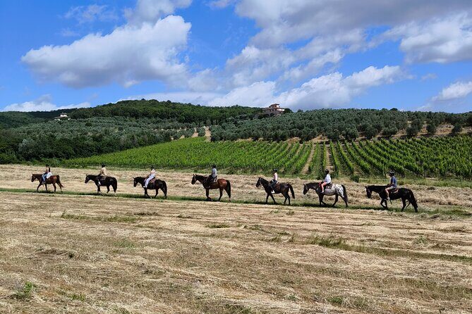 Horseback Riding in the Vineyards - Key Points
