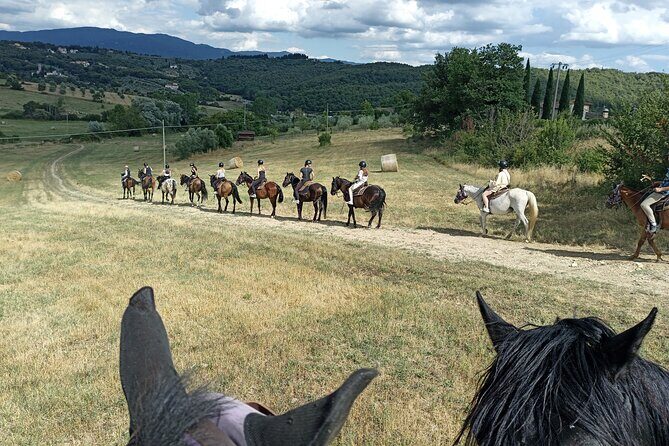 Horseback Riding in the Vineyards - What to Expect from Your Horseback Adventure in Tuscany
