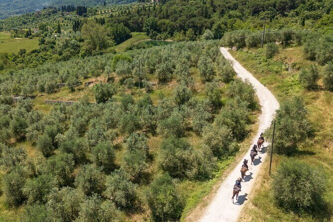 Horseback Riding in the Vineyards - Who Should Consider This Tour?