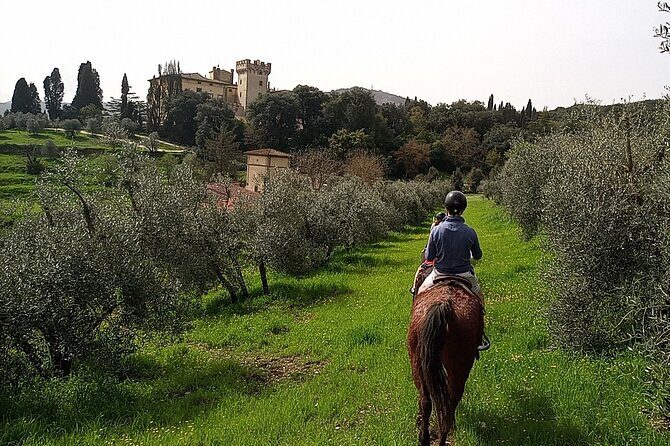 Horseback Riding in the Vineyards - The Sum Up