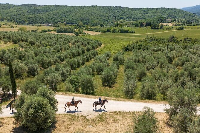 Horseback Riding in the Vineyards - FAQ
