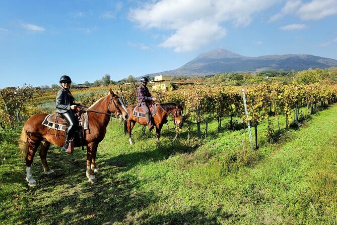 Horseback Riding on Mt. Vesuvius with Wine Tasting and Dinner - Exploring the Horseback Riding on Mt. Vesuvius with Wine Tasting and Dinner Tour