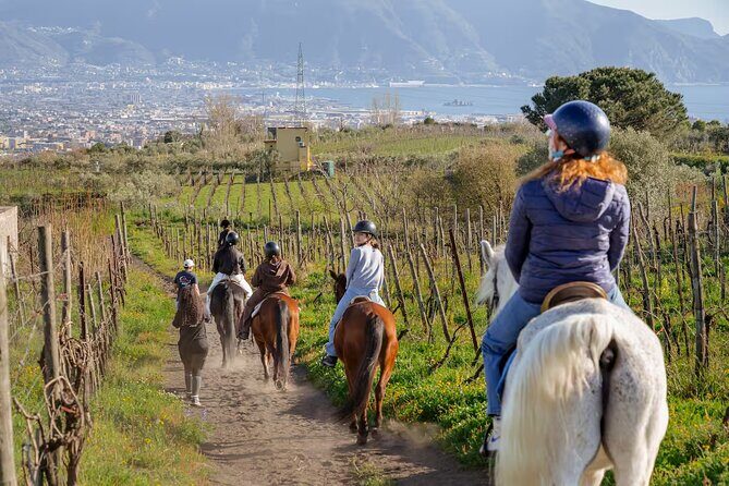 Horseback Riding on Mt. Vesuvius with Wine Tasting and Dinner - Key Points