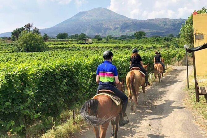 Horseback Riding on Mt. Vesuvius with Wine Tasting and Dinner - Final Thoughts