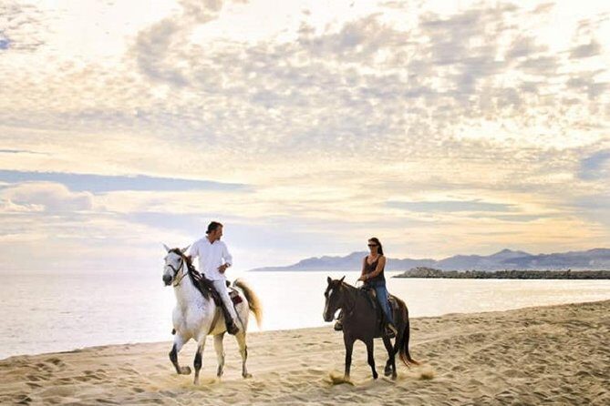 Horseback Riding on The Beach and Through The Desert! - Key Points 